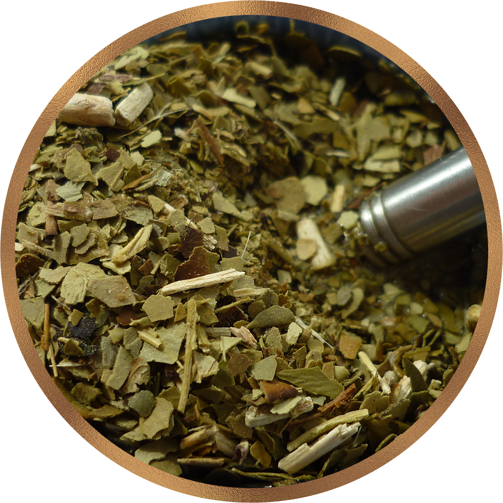 Scientific Evidence on Yerba Mate's Effectiveness in Increasing Energy ...