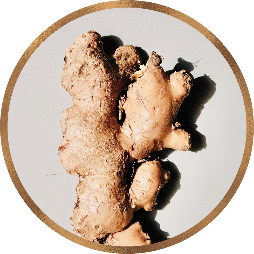 The Nutritional and Therapeutic Properties of Ginger: A Comprehensive ...