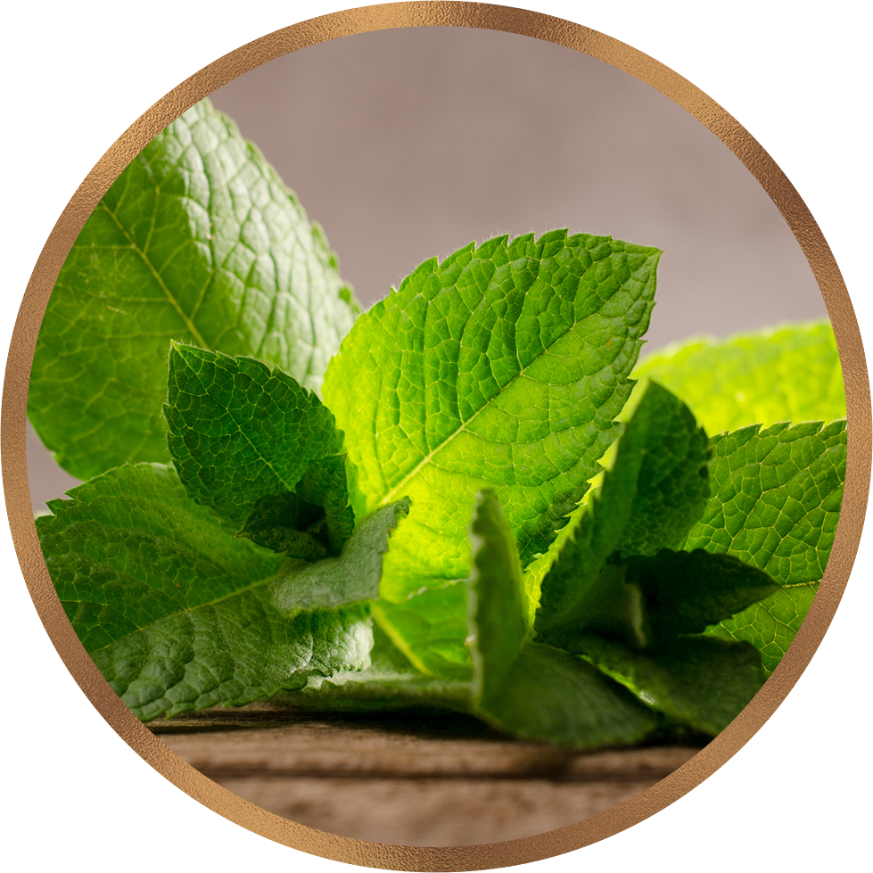 Scientific Evidence Supporting the Health Benefits of Peppermint: Reli ...